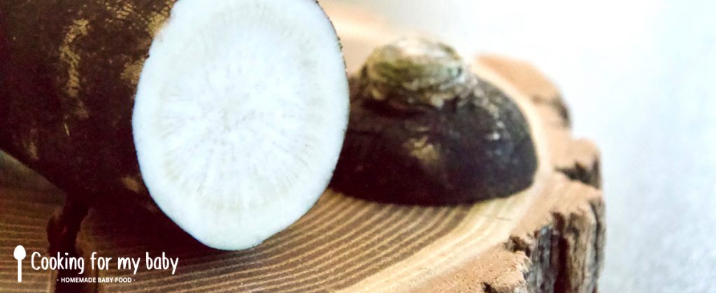 Black radish, mascarpone and nutmeg puree for babies (from 6 months ...