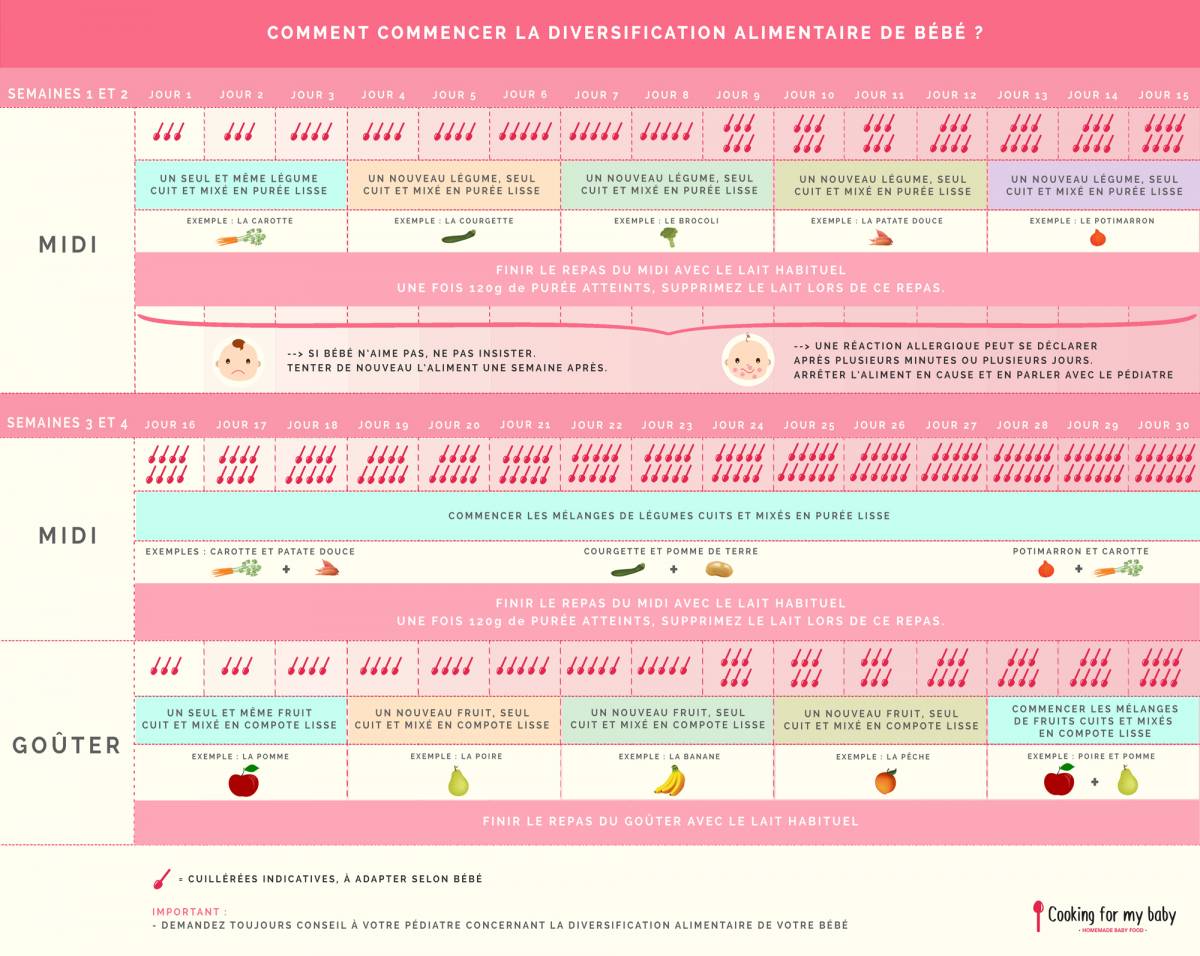Diversification alimentaire de bébé : Comment démarrer ? (Guide et tableau) Diversification alimentaire de bébé : Comment démarrer ? (Guide et tableau)